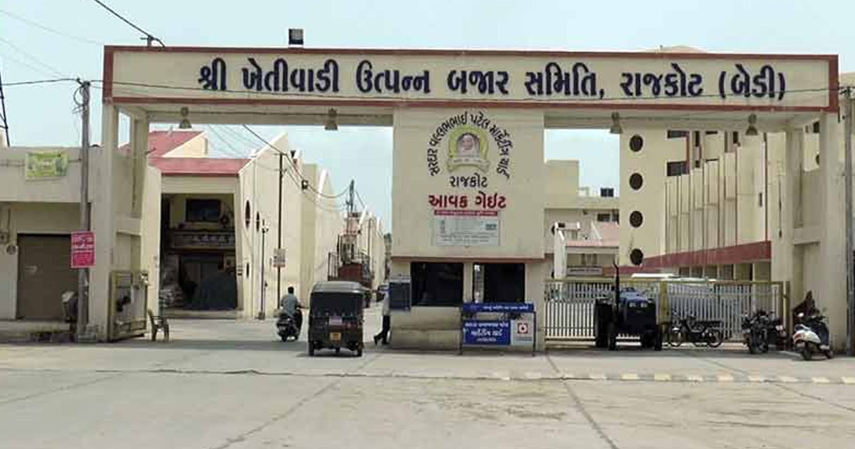 માવઠાંની આગાહીને પગલે ખેડૂતો માટે Rajkot Marketing Yardનો મહત્વનો નિર્ણય